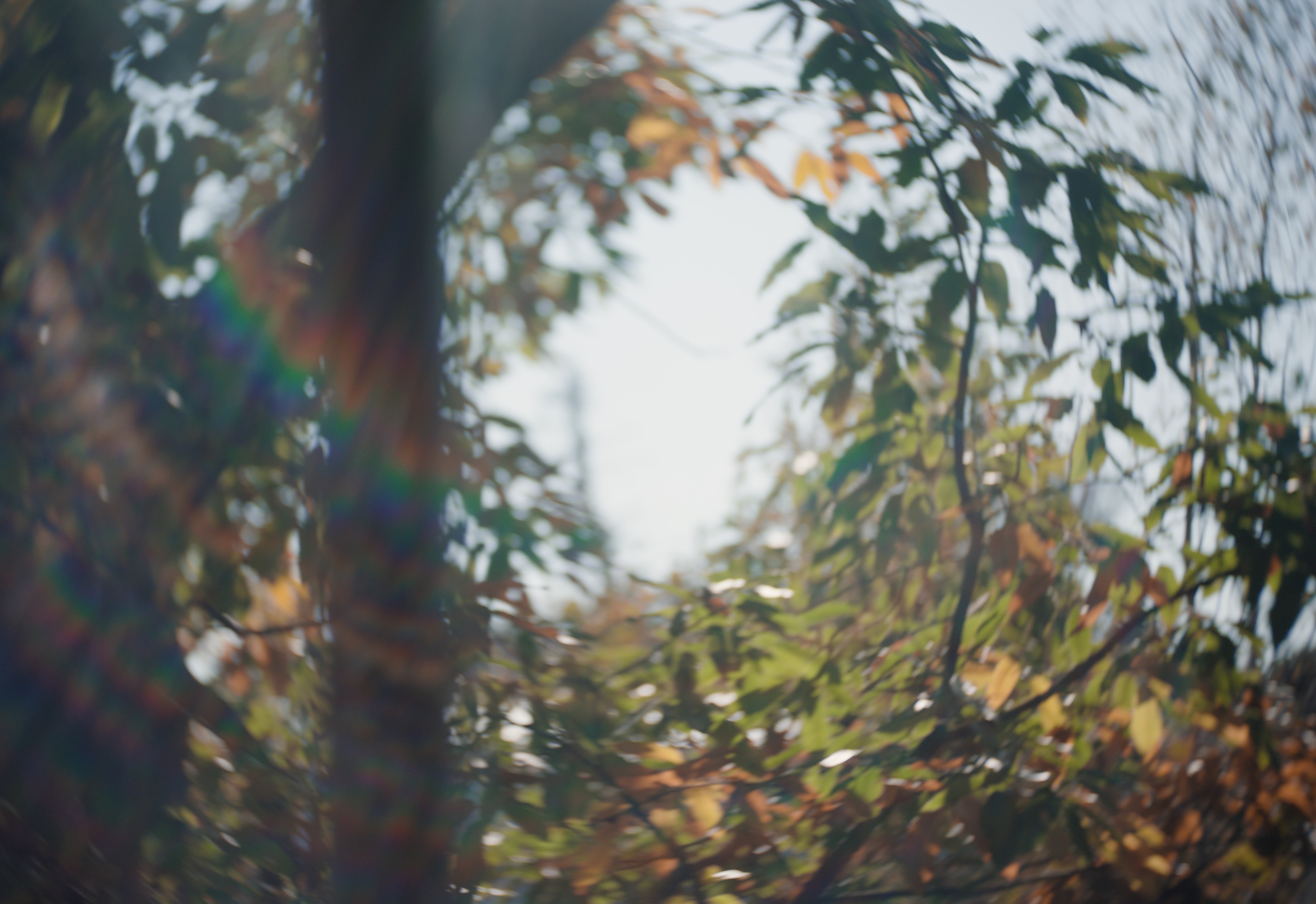 LASIK for astigmatism | ZEISS