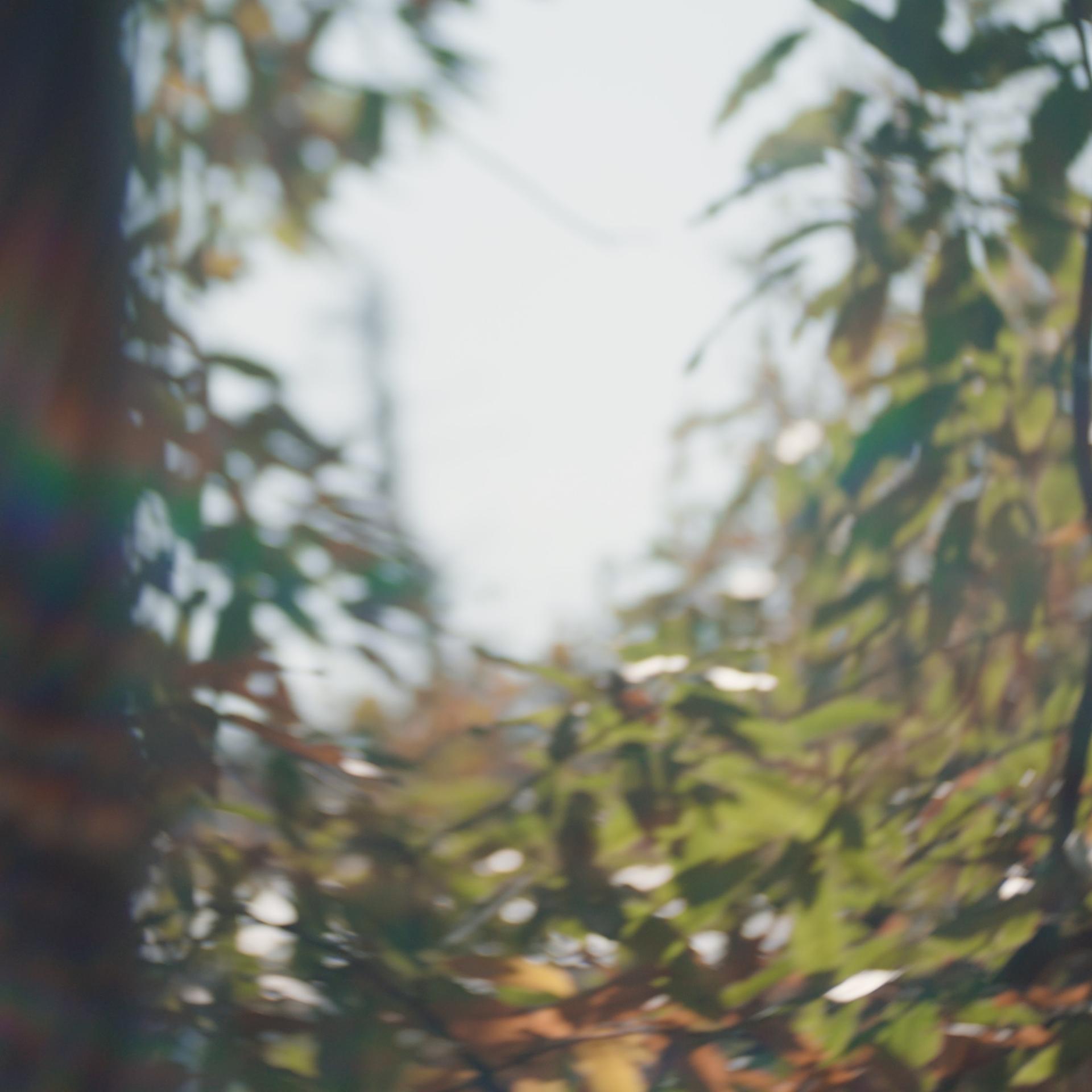 Your comprehensive guide to laser vision correction | ZEISS